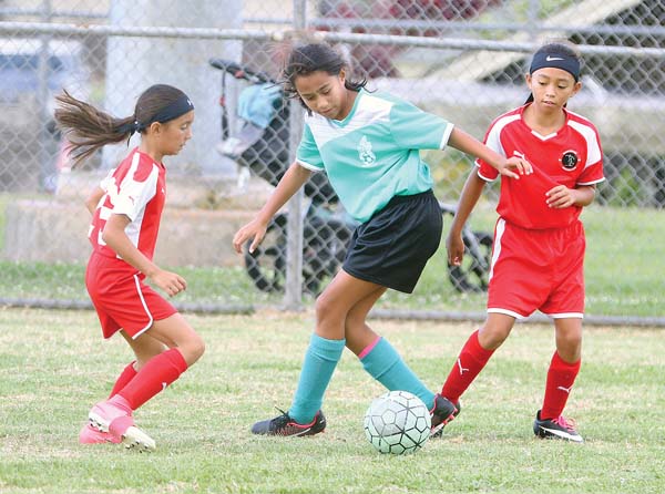 Valley Isle Scoreboard | News, Sports, Jobs - Maui News Valley Isle Scoreboard | News, Sports, Jobs - Maui News